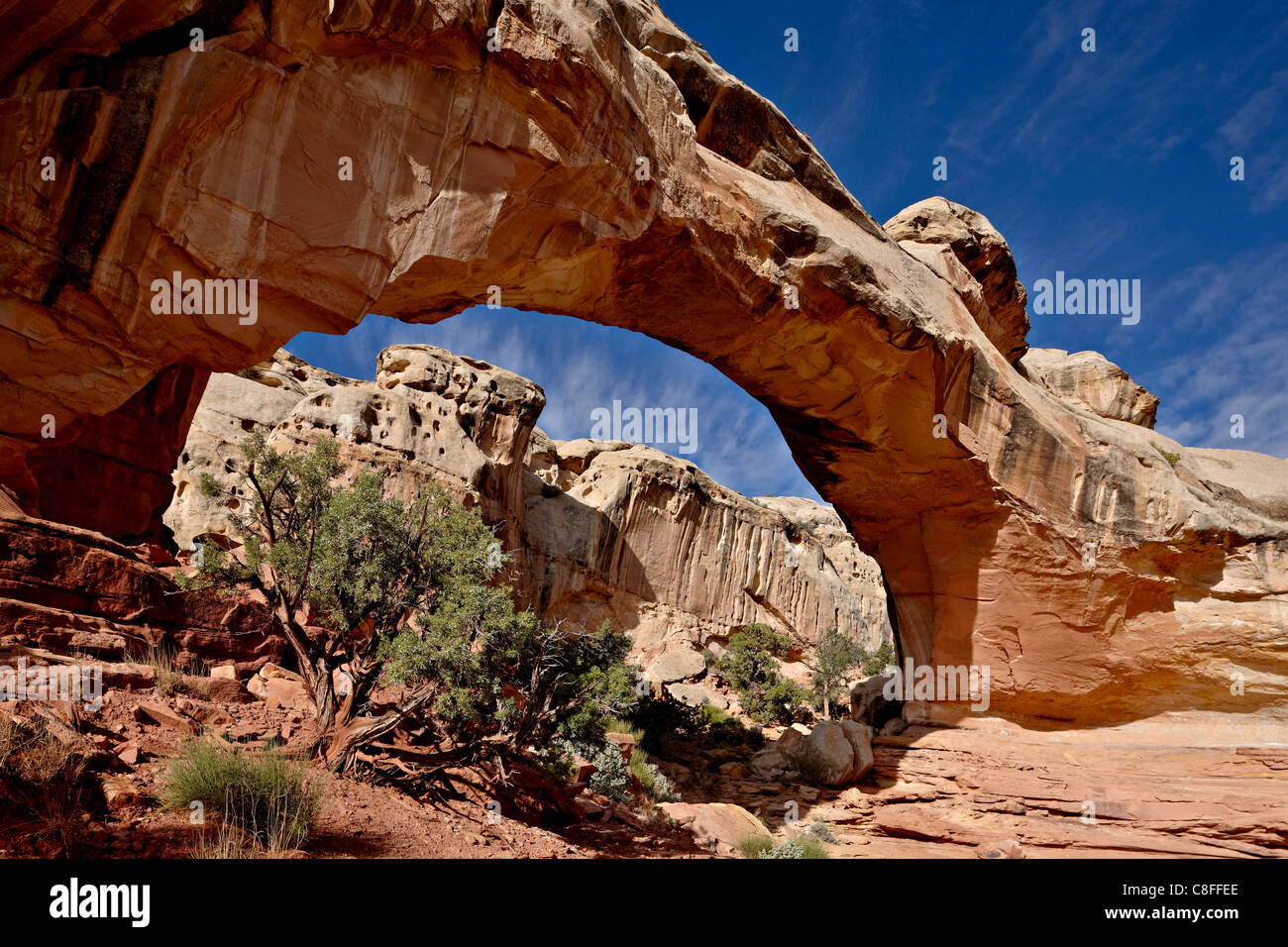 Hickman Bridge, Capitol Reef National Park, Utah, United States of ...