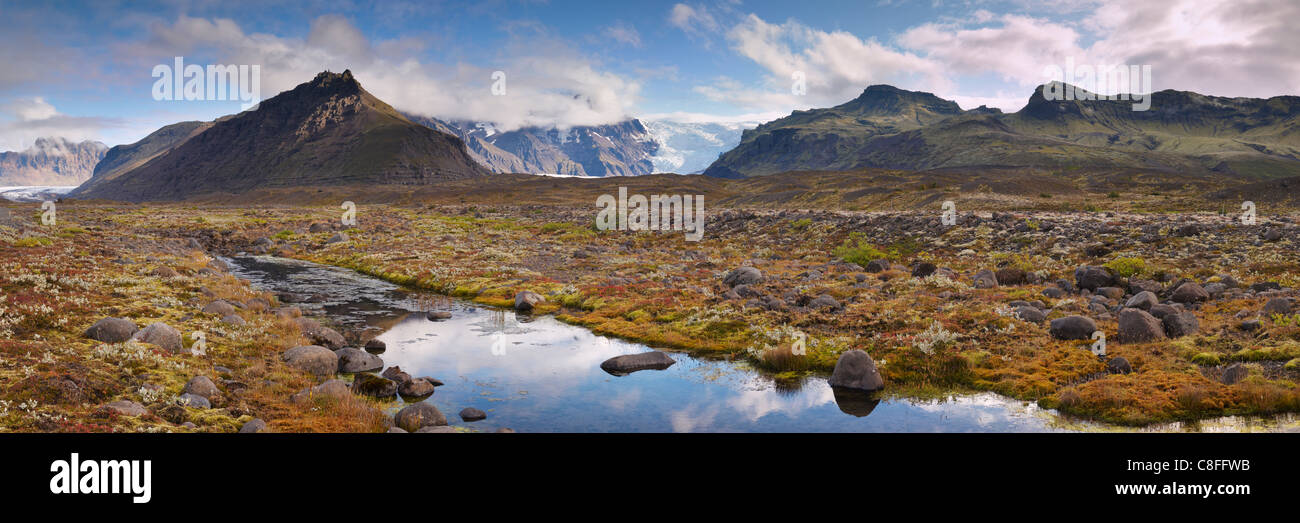 Arctic plants in Skaftafell National Park, Mount Hafrafell and ...