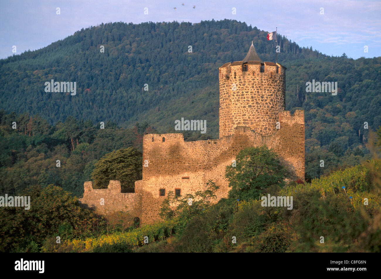 Kaysersberg imperial castle hi-res stock photography and images - Alamy