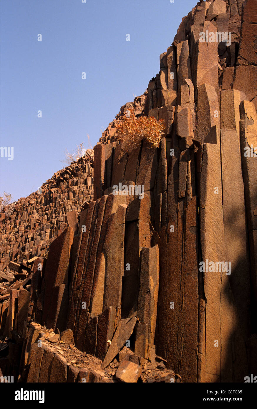 The Organ Pipes, dark brown intrusive dolerite, near the Burnt Mountain ...
