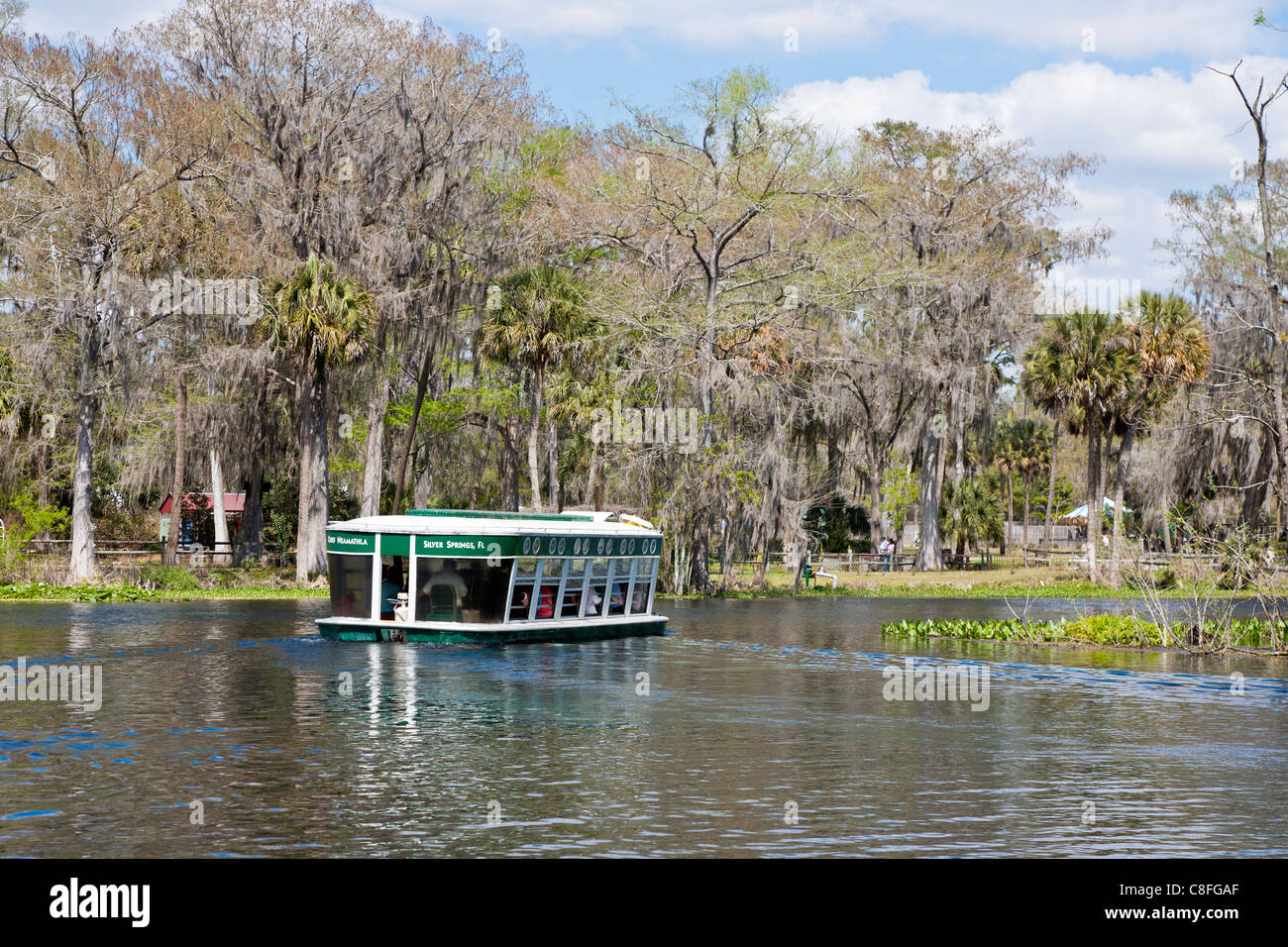 Park guests take glass bottom boat tour of the Silver River at Silver Springs State Park in ...