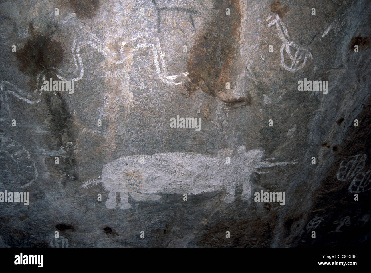 Rock art, white paintings, elephant and rain snake, Tsodilo Hills ...