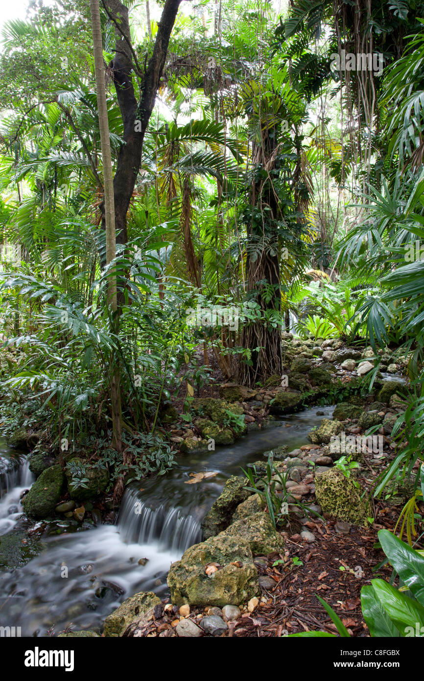 Rain forest, Fairchild Tropical Gardens, Miami, Florida, United States ...
