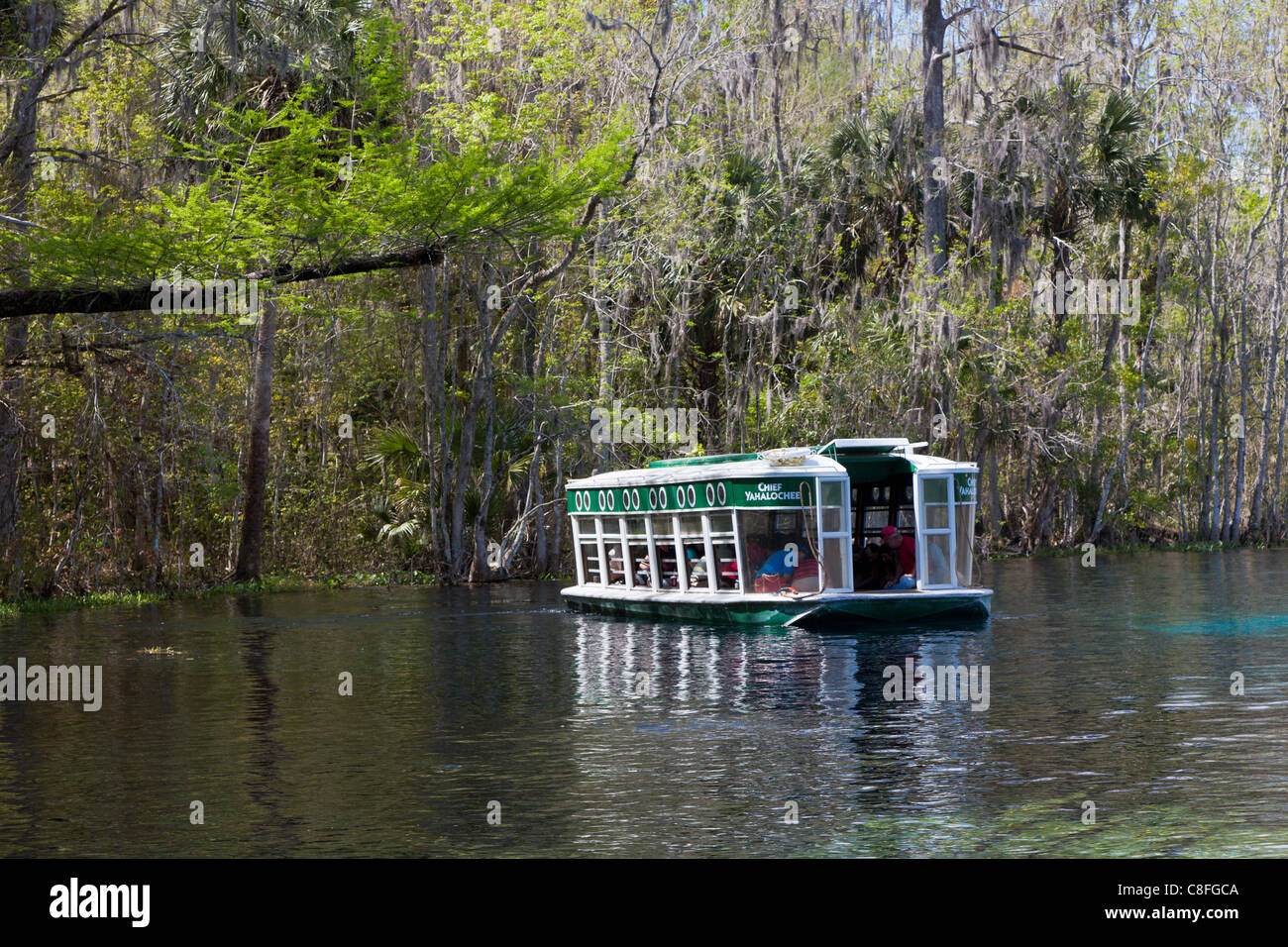 Park guests take glass bottom boat tour of the Silver River at Silver Springs State Park in ...