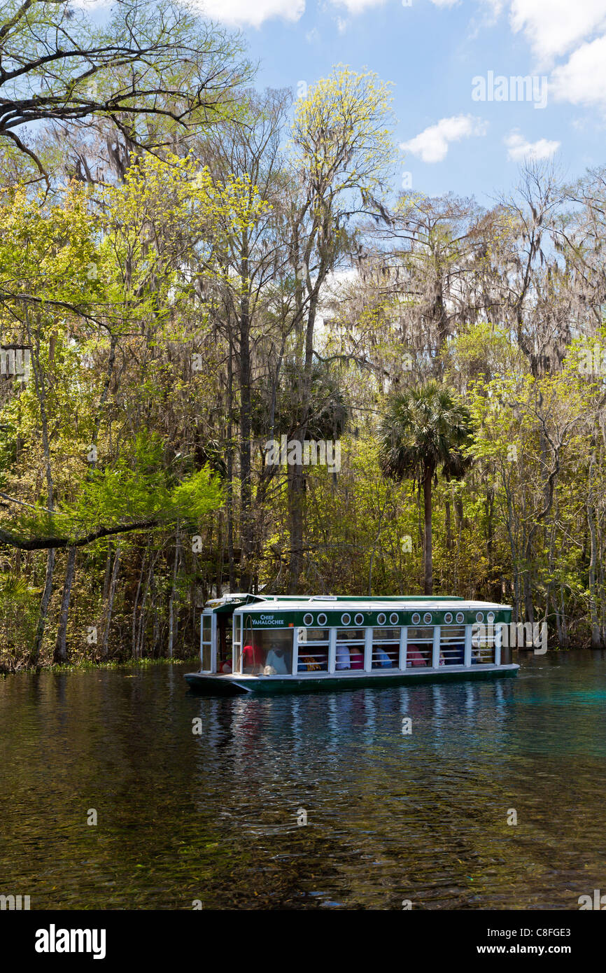 Park guests take glass bottom boat tour of the Silver River at Silver Springs State Park in ...
