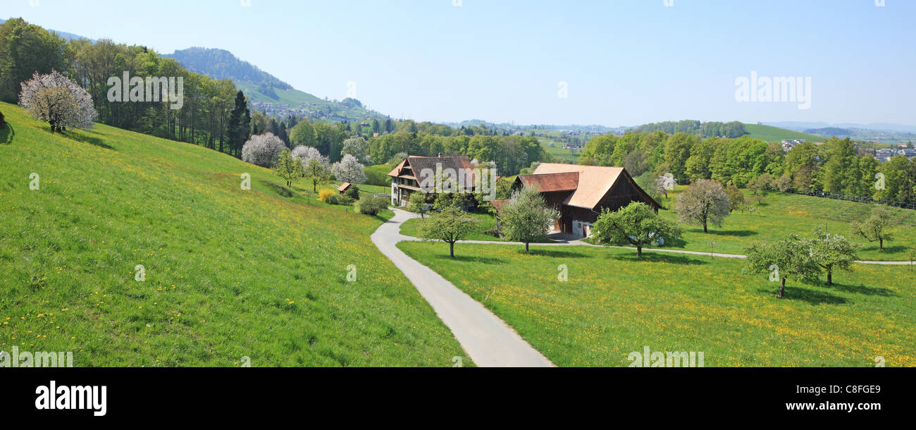 Wollerau hi-res stock photography and images - Alamy