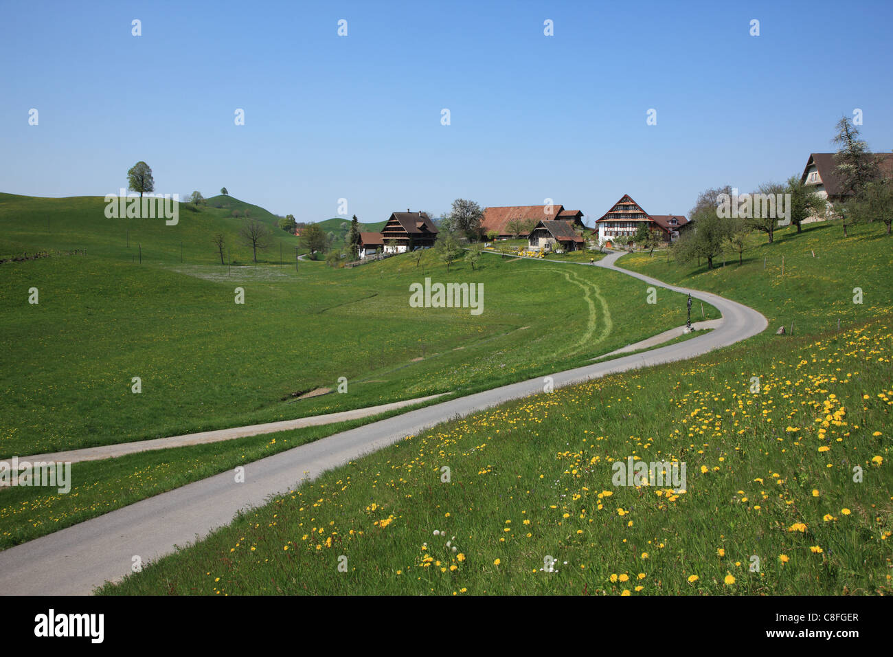 Travel, Nature, Agriculture, Europe, Switzerland, Zug, Menzingen ...