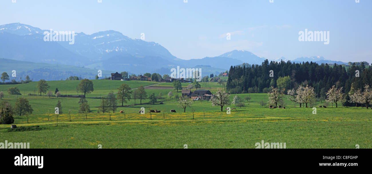 Travel, Nature, Agriculture, Europe, Switzerland, Lucerne, Farmland ...