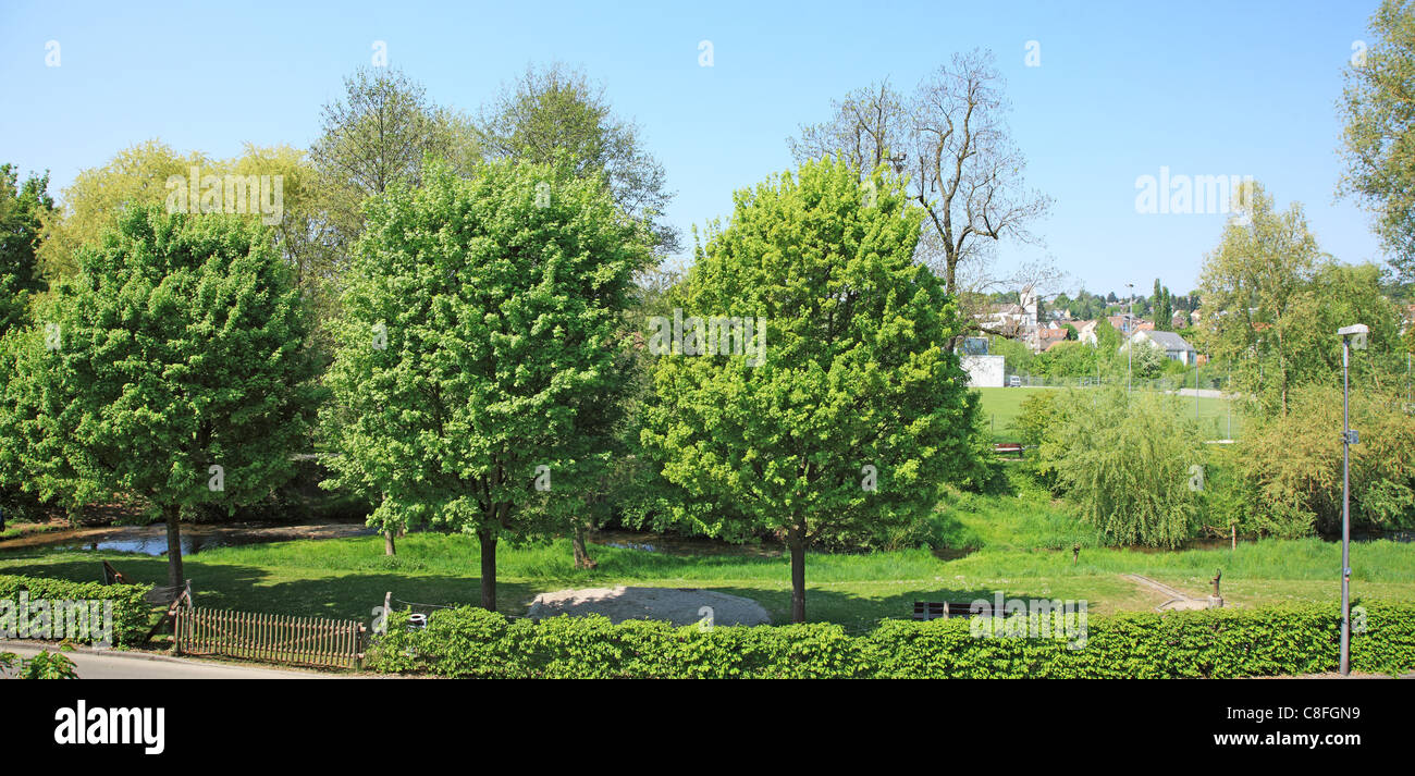 Travel, Nature, Switzerland, Baselland, Oberwil, Urban, Park, Tree ...