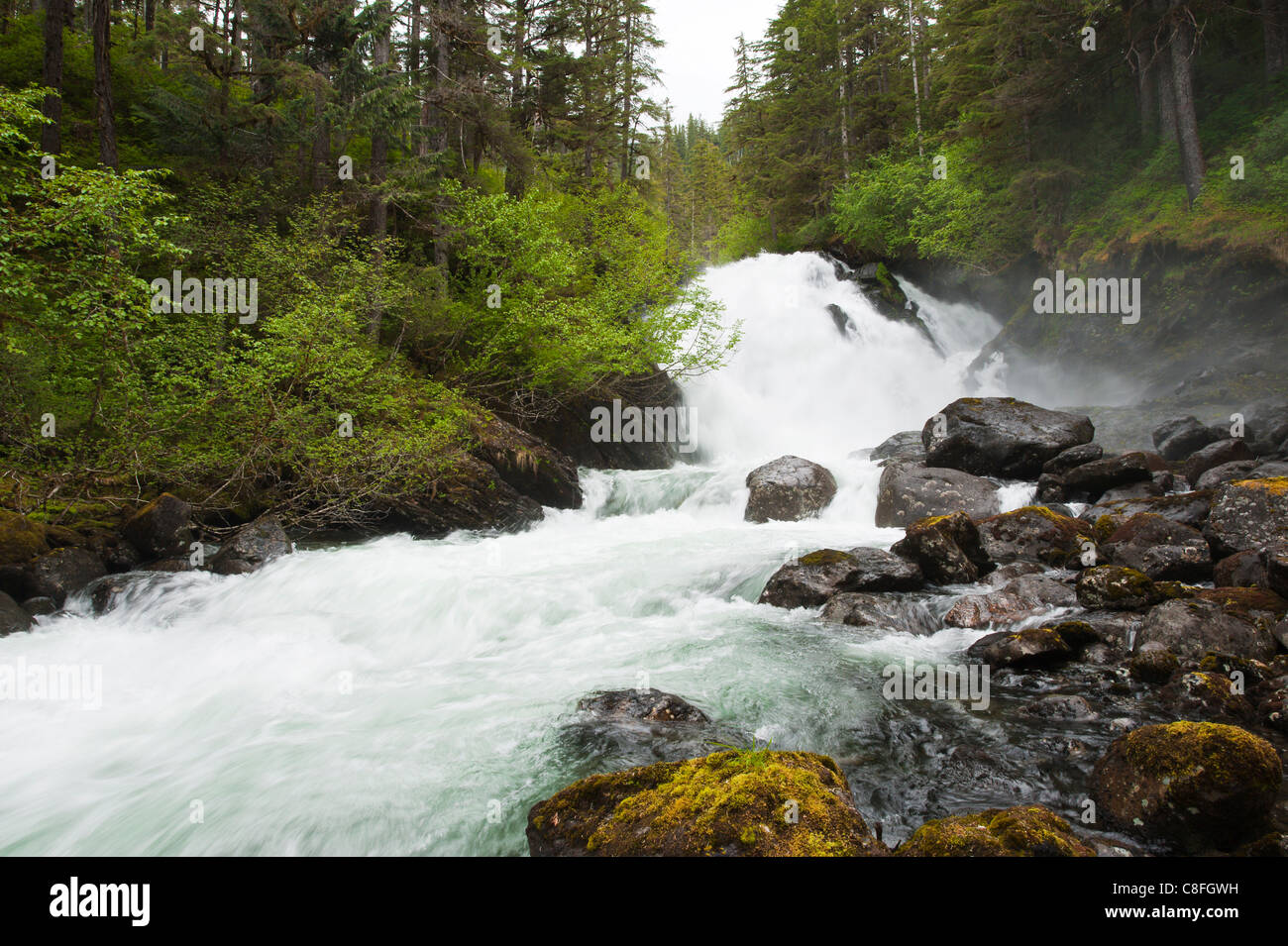 Thomas bay alaska hi-res stock photography and images - Alamy