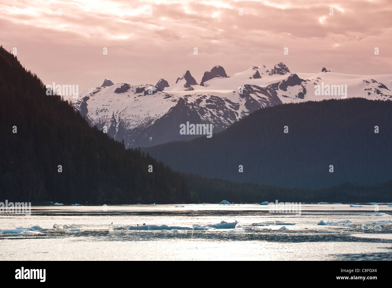 LeConte Bay, Southeast Alaska, Alaska, United States of America Stock ...