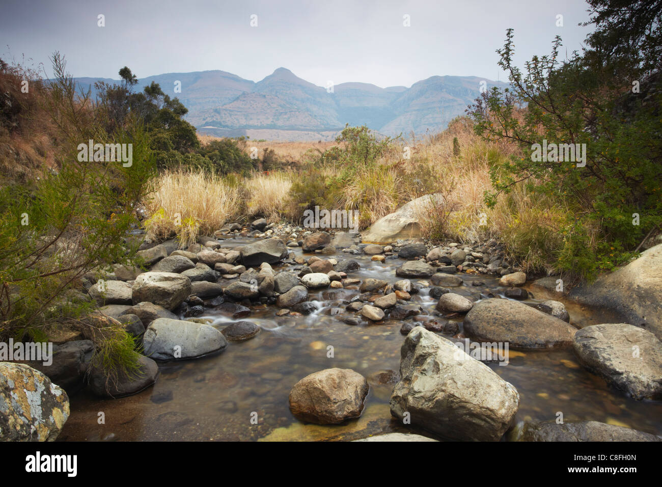 Mpofane River, Monk's Cowl Nature Reserve, Ukhahlamba-Drakensberg Park ...