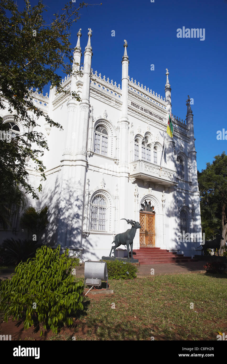Natural History Museum, Maputo, Mozambique Stock Photo - Alamy