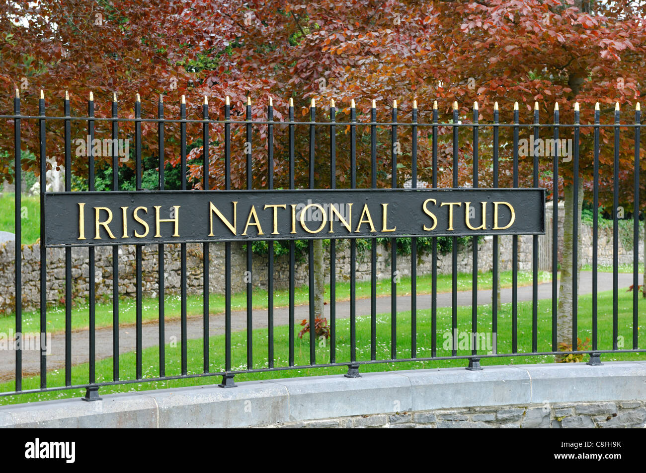 National stud farm hi-res stock photography and images - Alamy