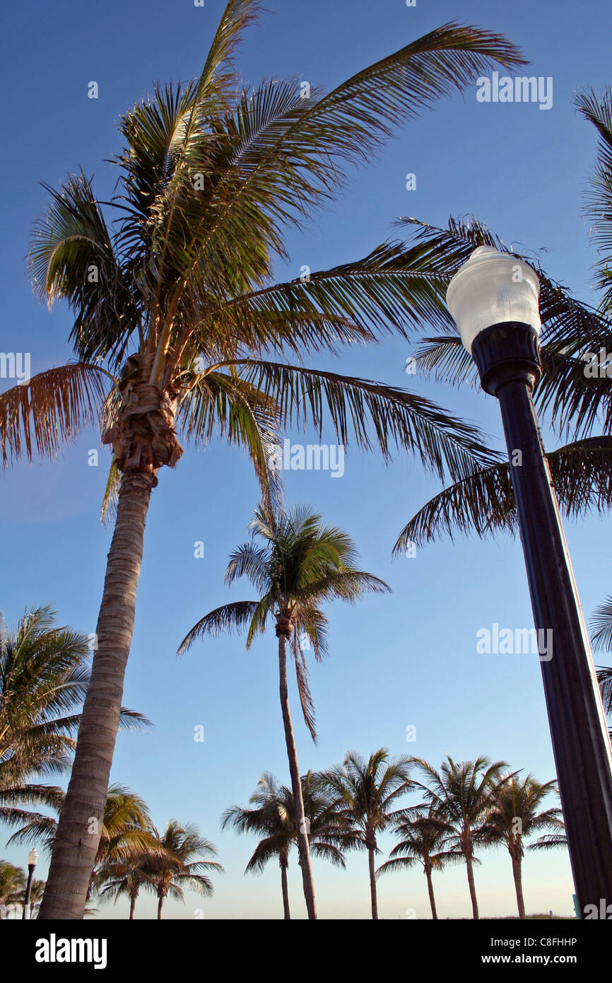 Science versus nature Stock Photo - Alamy
