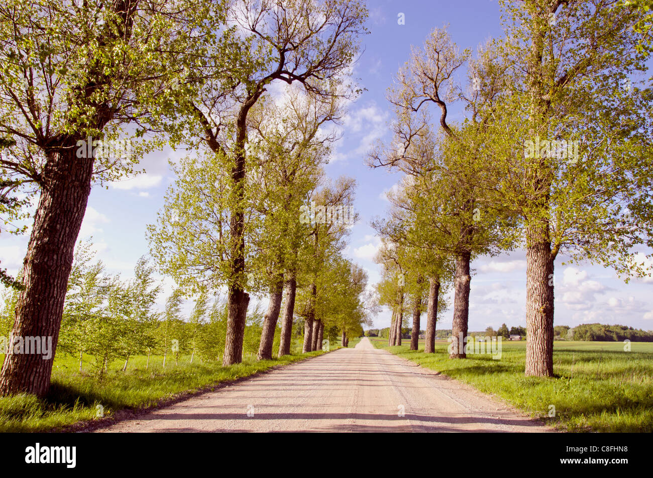 Planted straight hi-res stock photography and images - Alamy