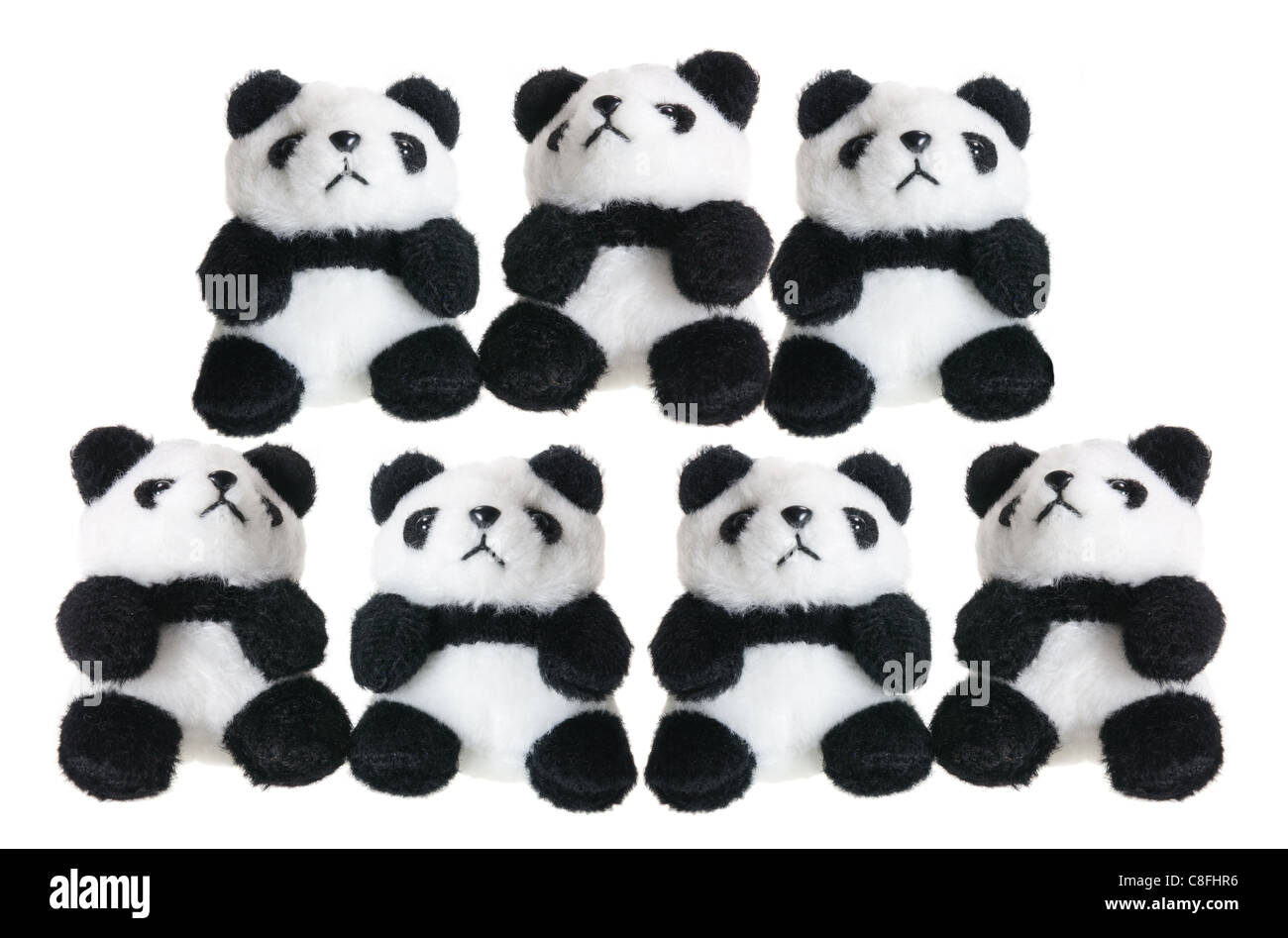 Group of pandas hi-res stock photography and images - Alamy