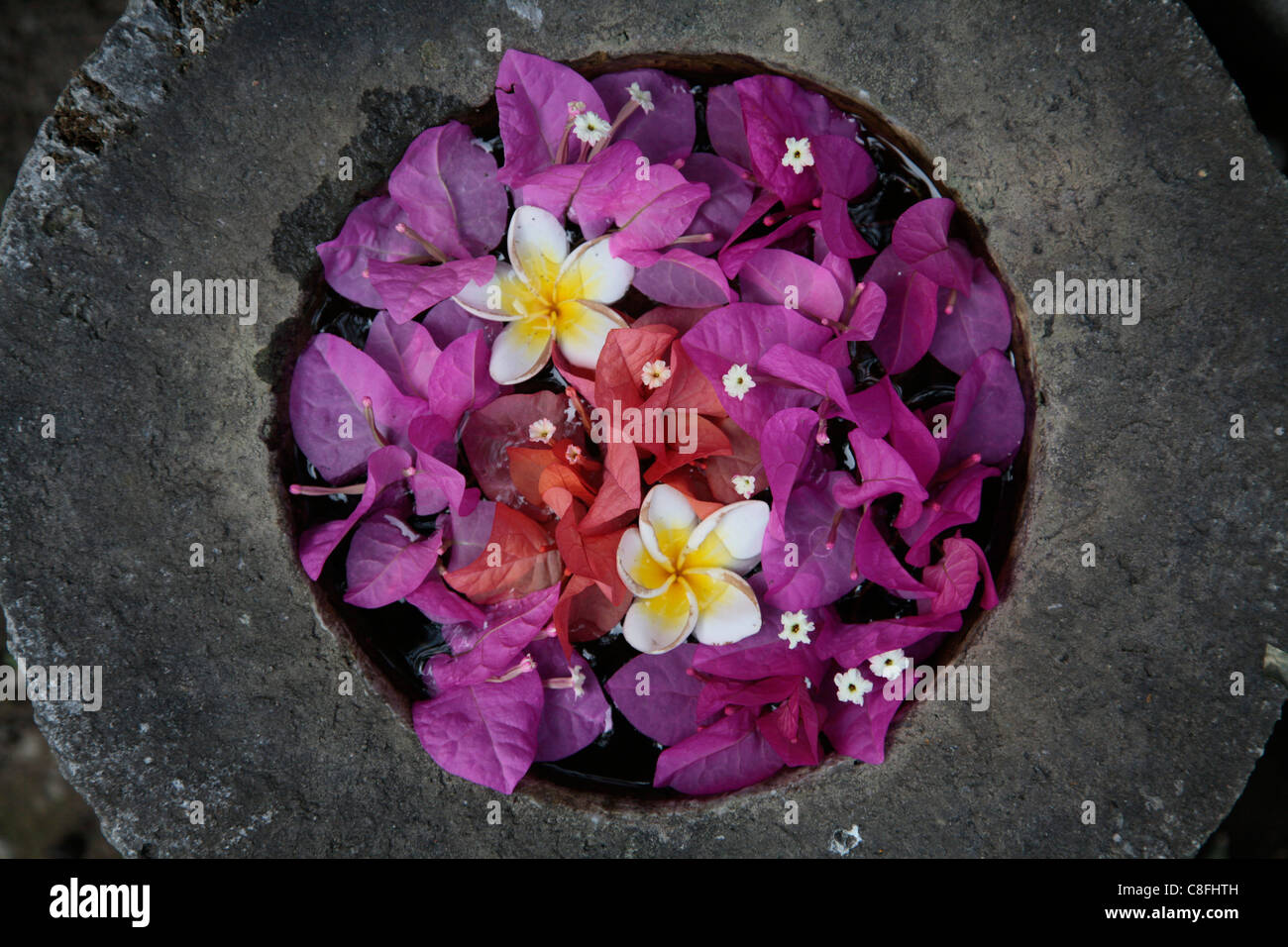 Balinese flower hi-res stock photography and images - Alamy