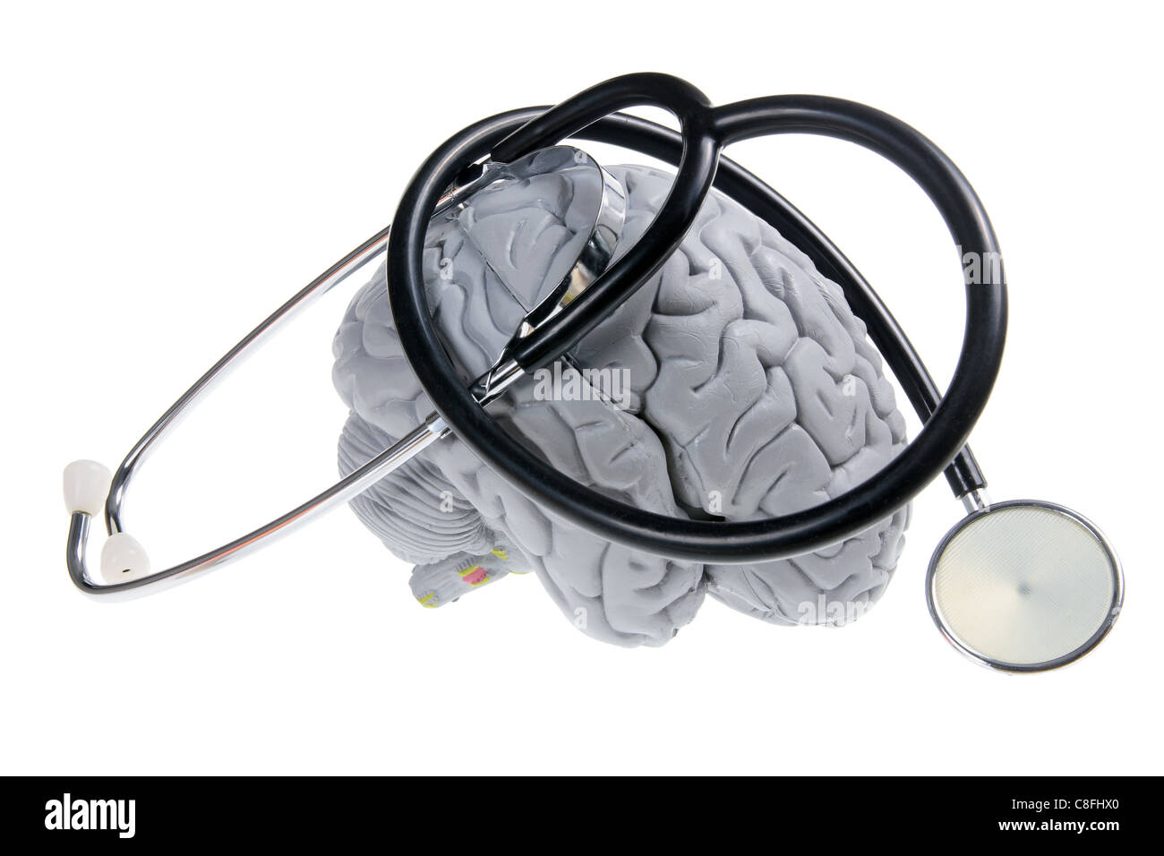 Brain Specimen and Stethoscope Stock Photo - Alamy