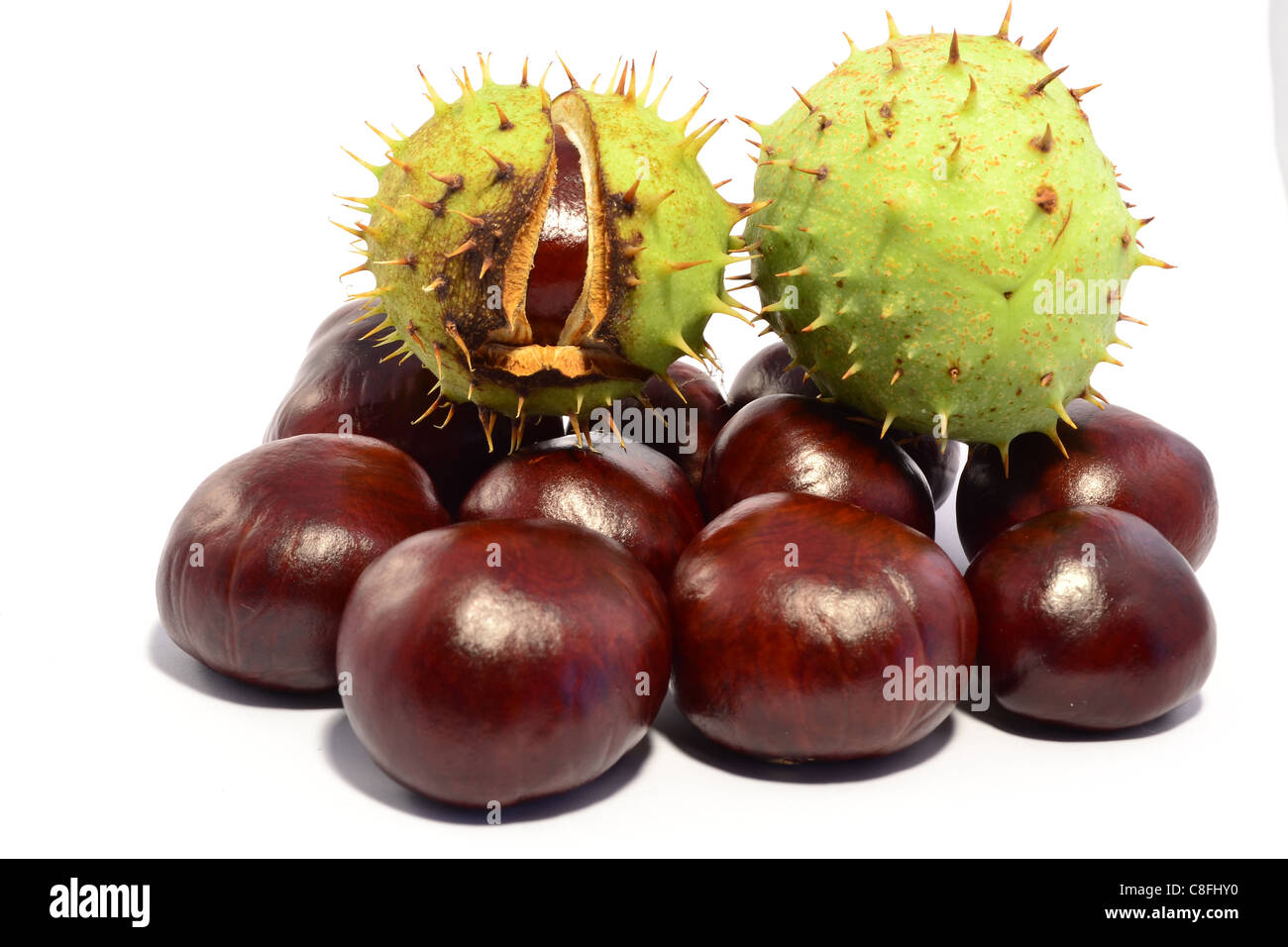 nice chestnuts in close up Stock Photo - Alamy