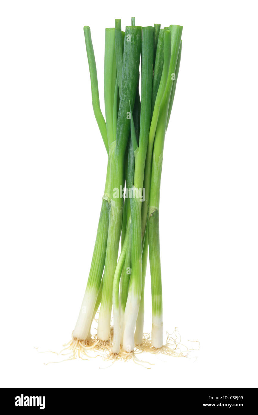 Spring onions hi-res stock photography and images - Alamy