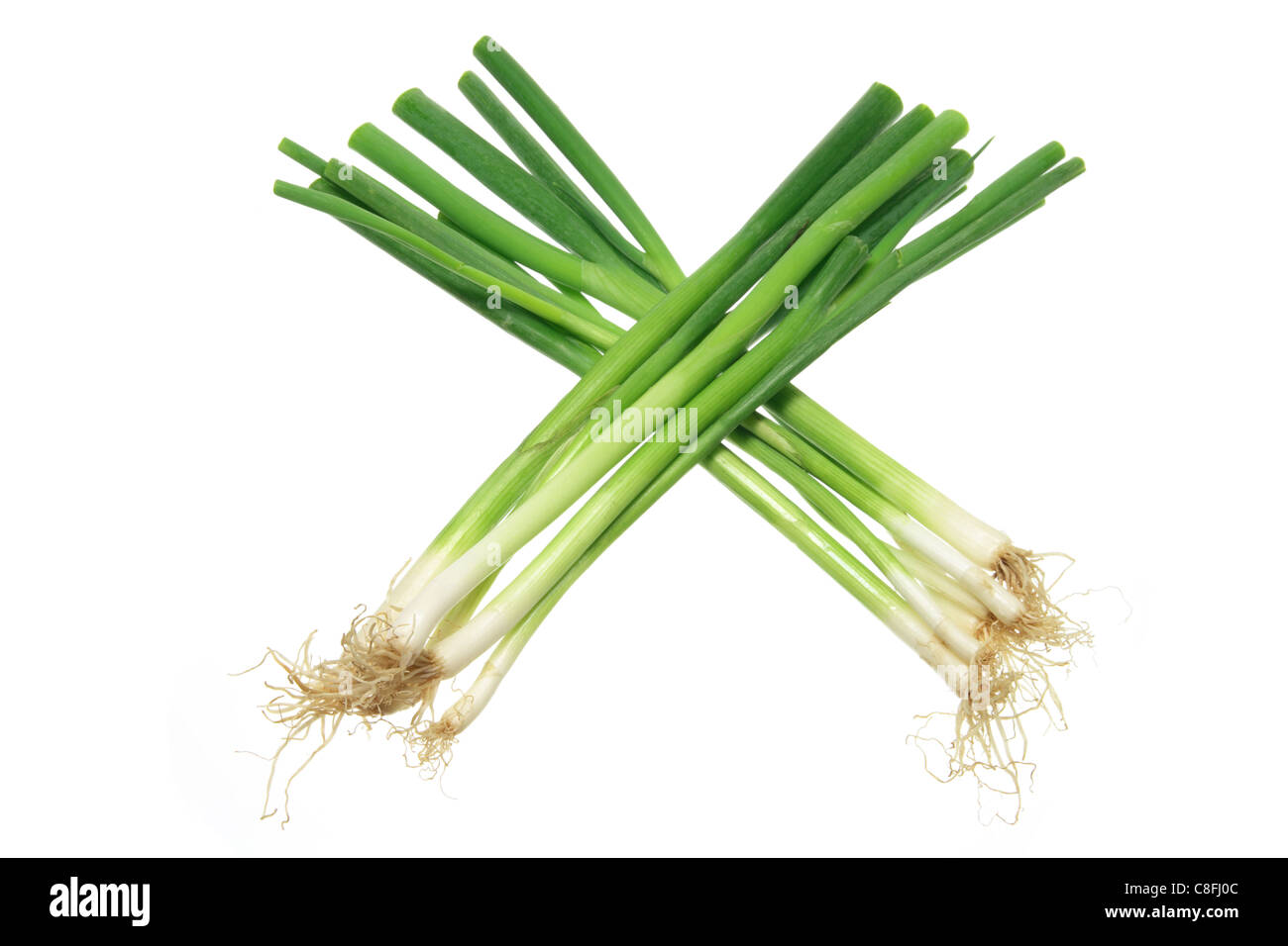 Spring onions cut out hi-res stock photography and images - Alamy