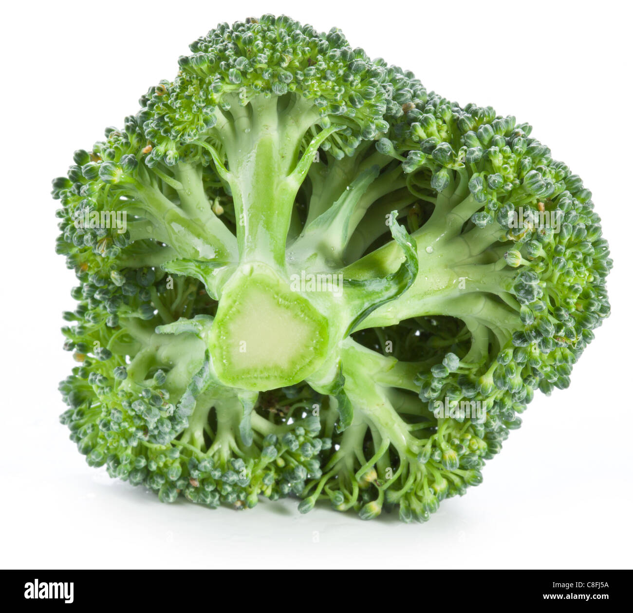 Broccoli cabbage inflorescence Cut Out Stock Images & Pictures - Alamy