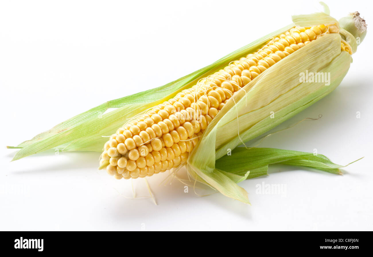 White maize seed hi-res stock photography and images - Alamy