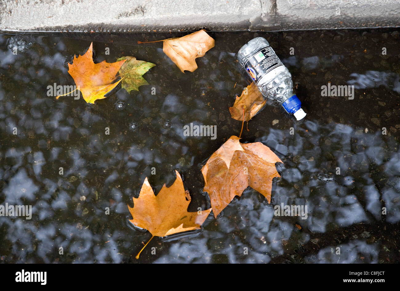 Plastic bottle in a puddle Stock Photo - Alamy