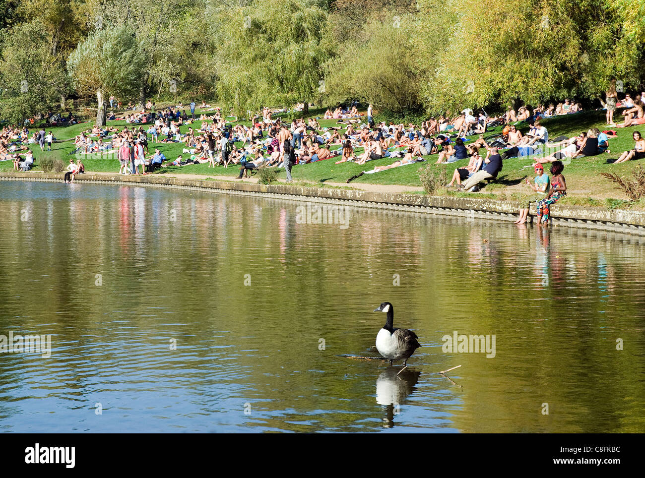 Sunbathers in lake hi-res stock photography and images - Alamy