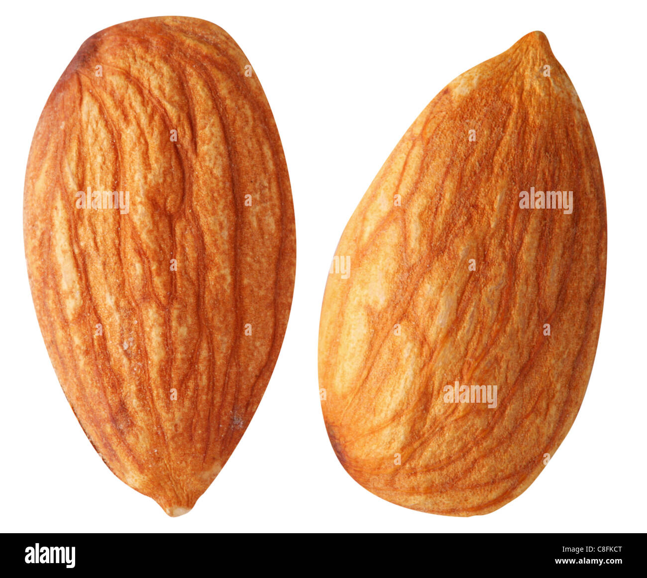 Two almonds isolated on a white background. File contains a path to cut ...