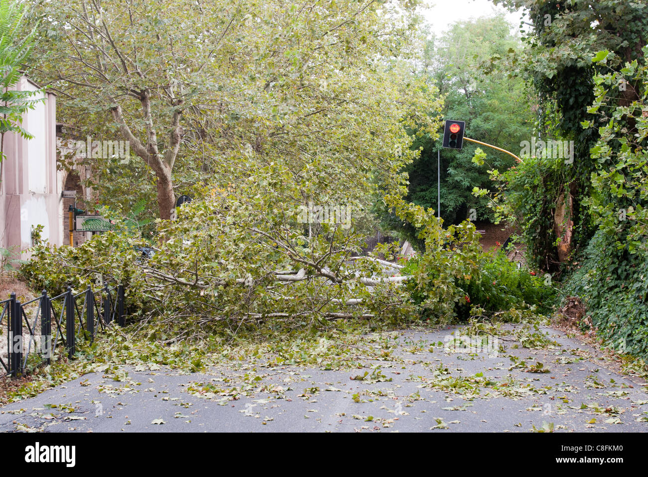 Fallen street hi-res stock photography and images - Alamy