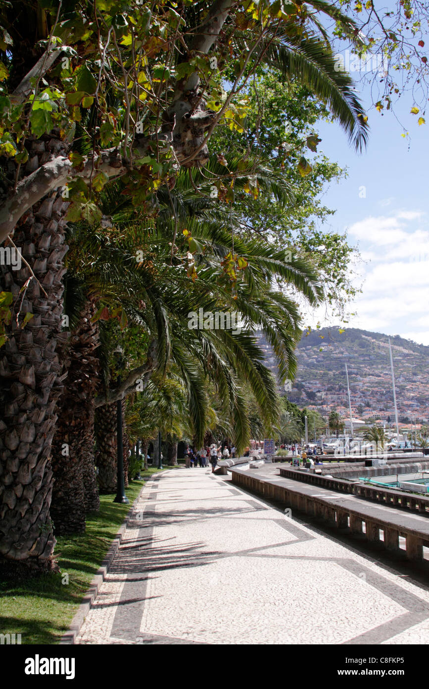 Seafront promenade by the Avenida do Mar Funchal Madeira Stock Photo ...