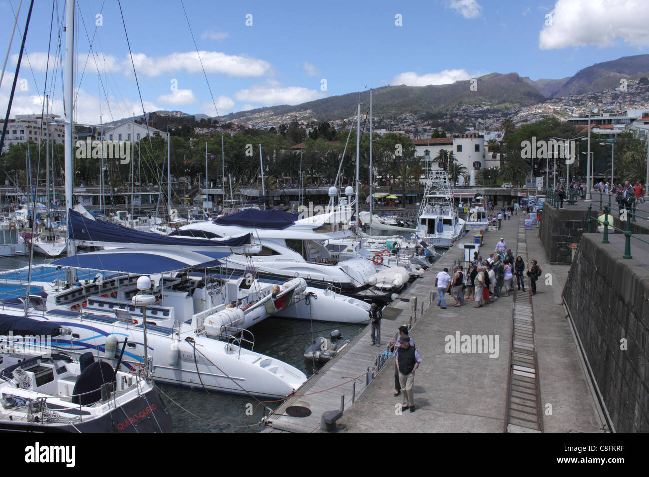 Marina at Funchal Madeira Stock Photo - Alamy