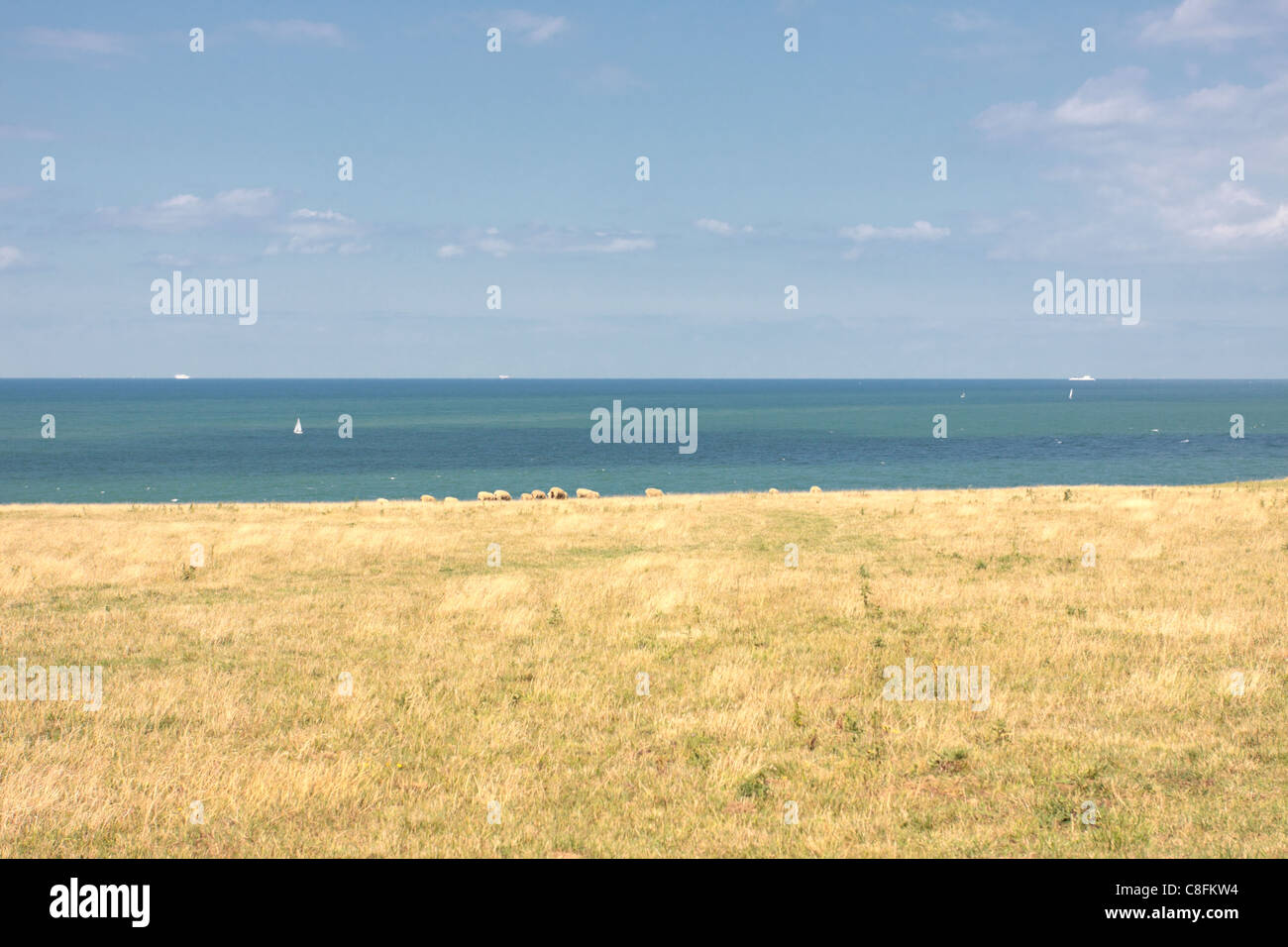 landscape of the Opal Coast in France Stock Photo - Alamy