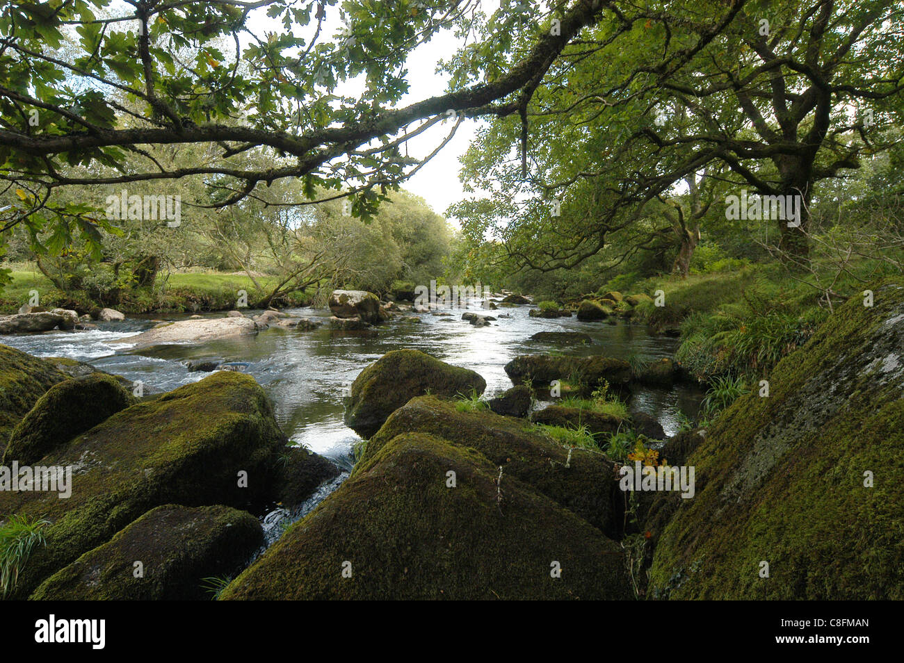 The West Dart river flows past Huccaby on the edge of Dartmoor, Devon ...