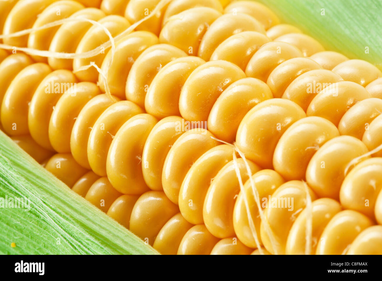 Close up shot of corn Stock Photo - Alamy