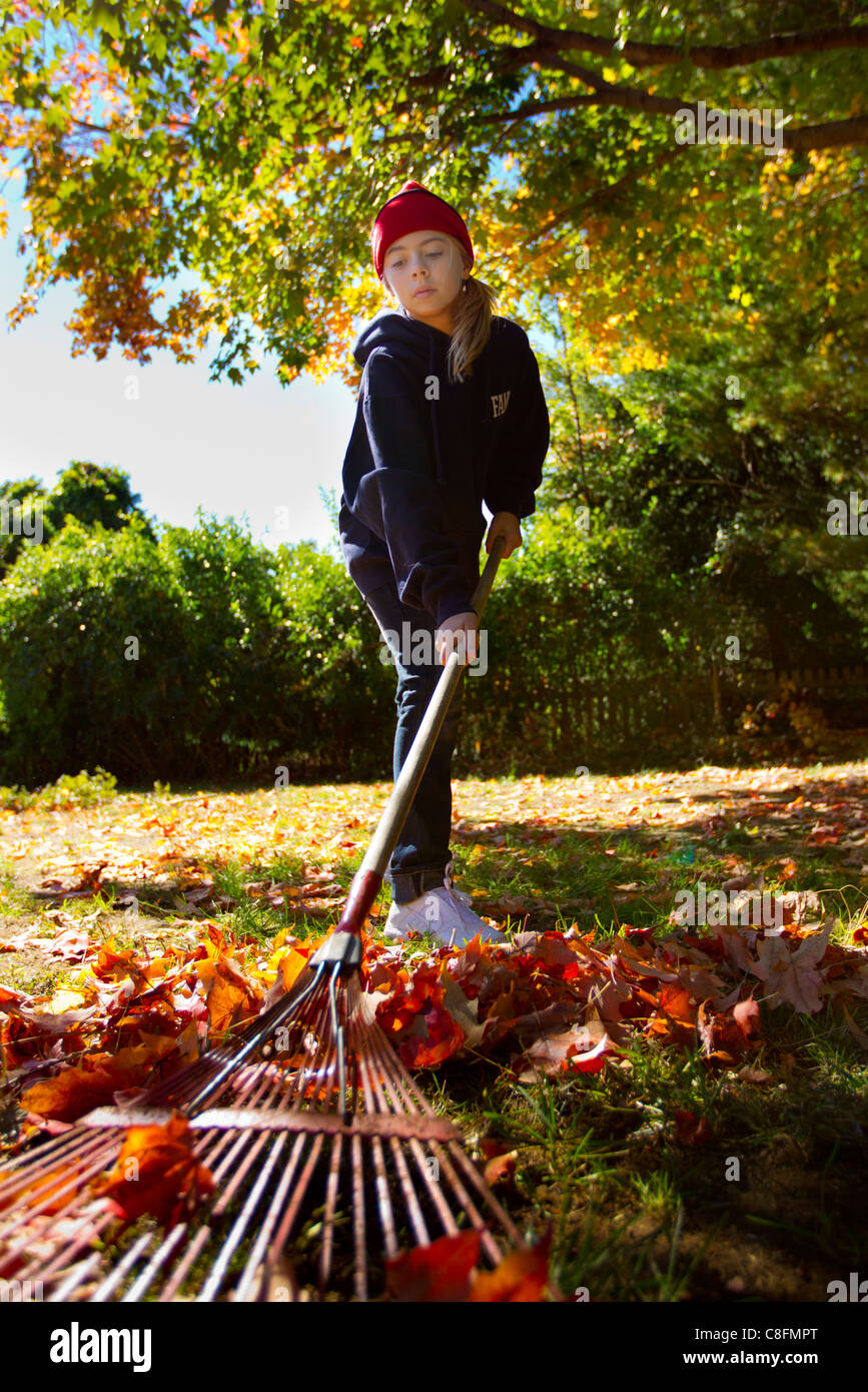 A young girl raking leaves in the backyard of her home Stock Photo - Alamy