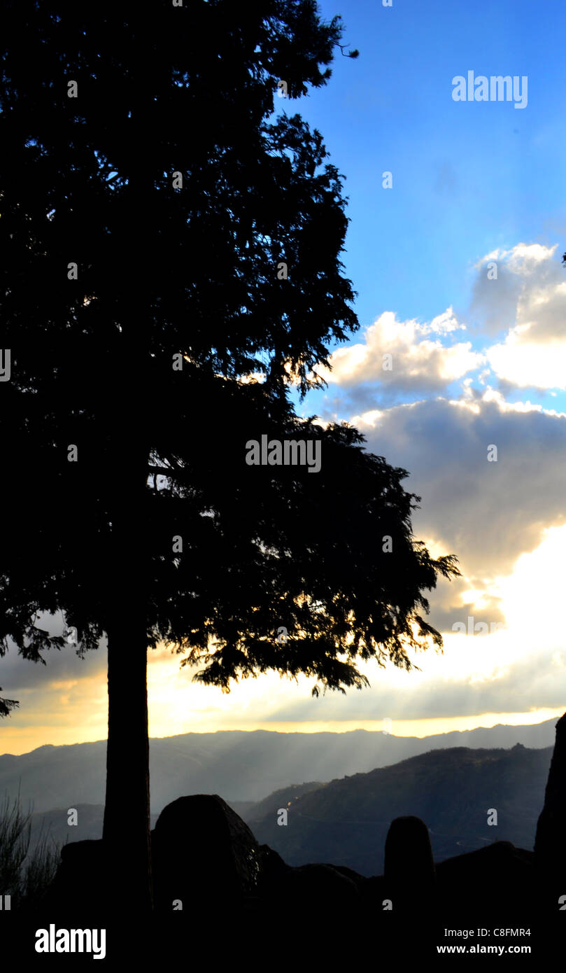 A sunset filled with god rays Stock Photo - Alamy