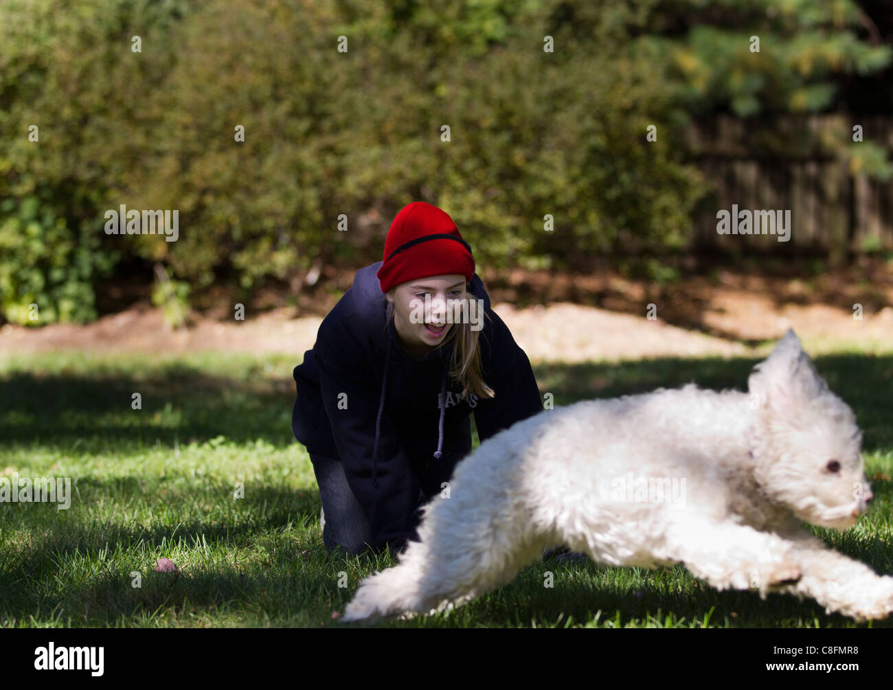 Child chasing dog hi-res stock photography and images - Alamy