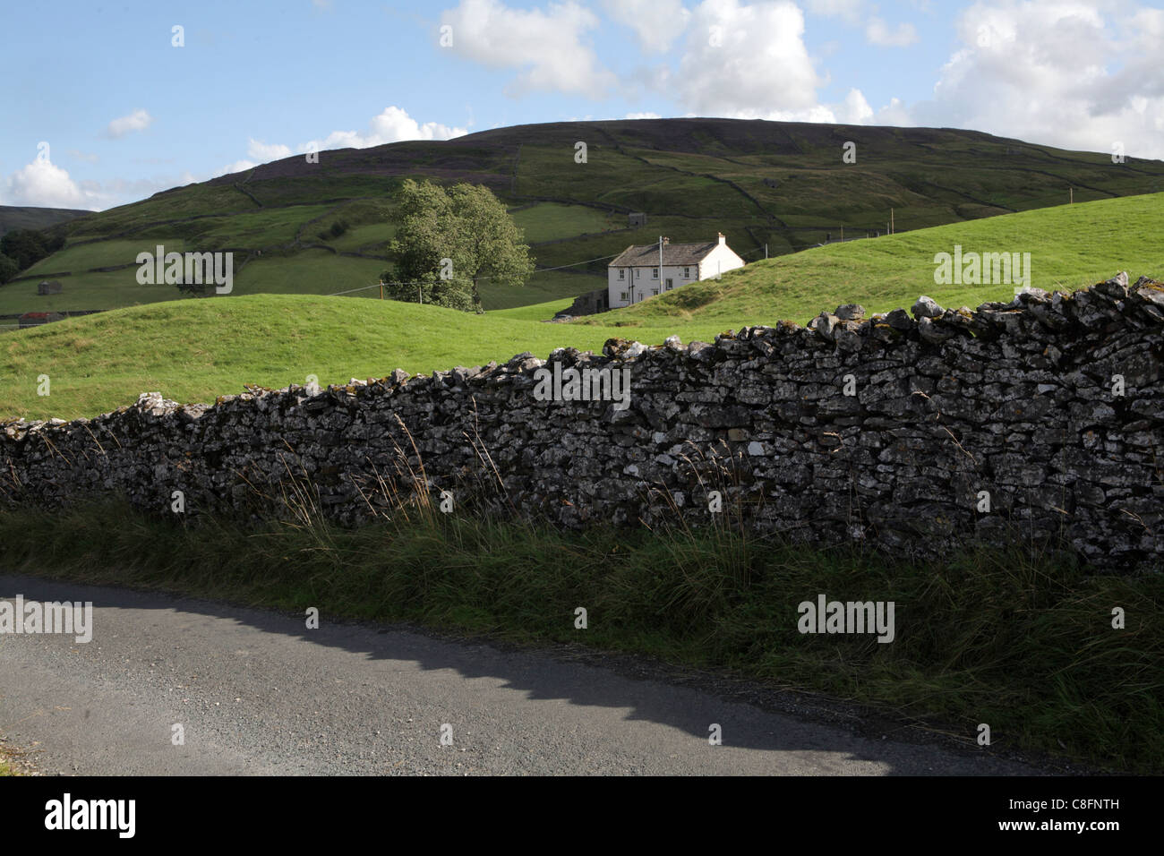 Lone house, in idyllic rural setting, rolling hills and dry stone wall ...