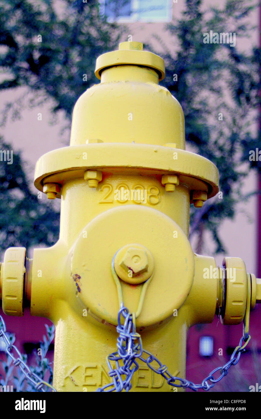 Fire hydrant with tree hi-res stock photography and images - Alamy