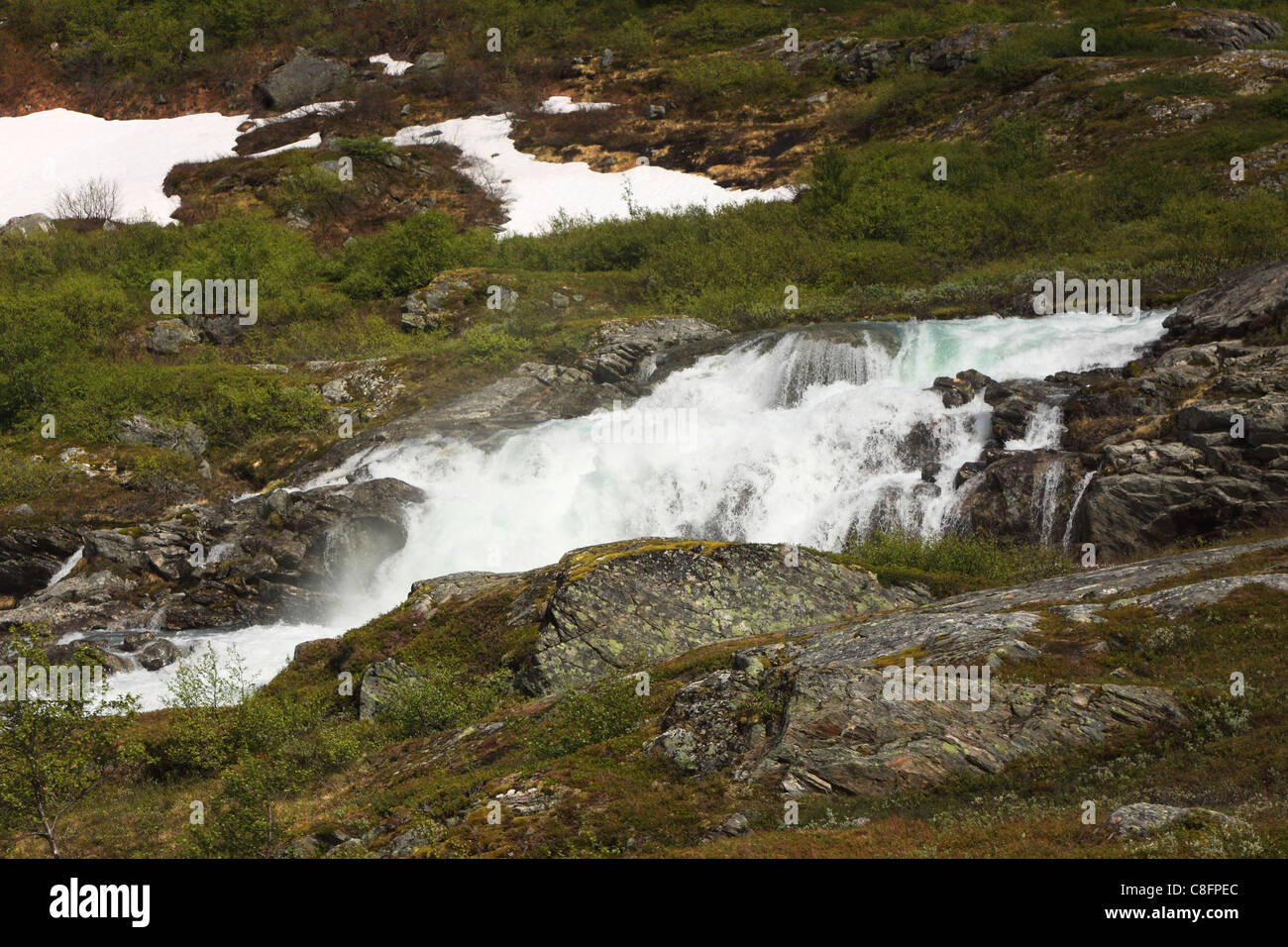 wild streams and waterfalls of Norway in summer Stock Photo - Alamy