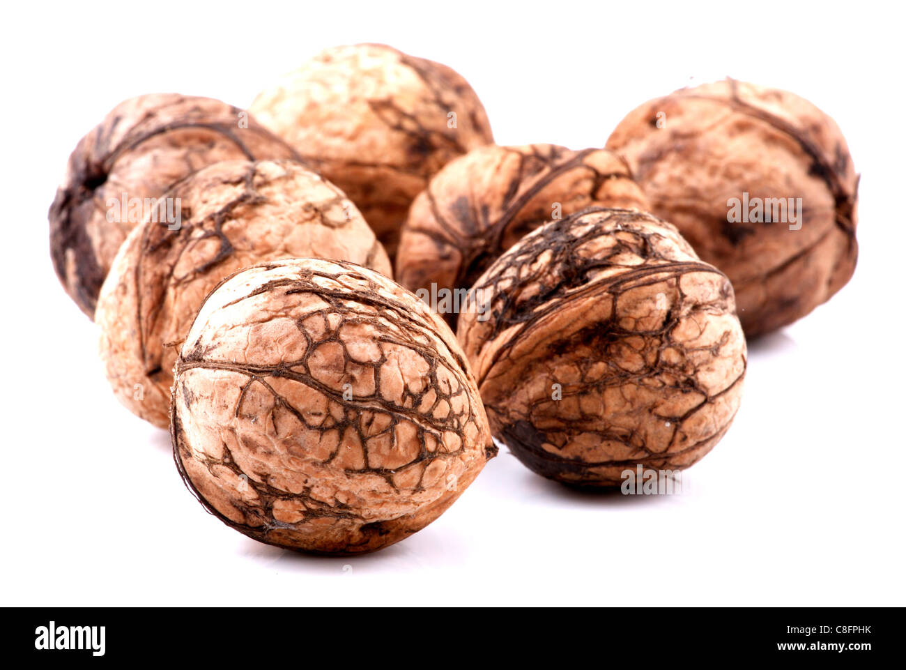 Walnut structure Cut Out Stock Images & Pictures - Alamy
