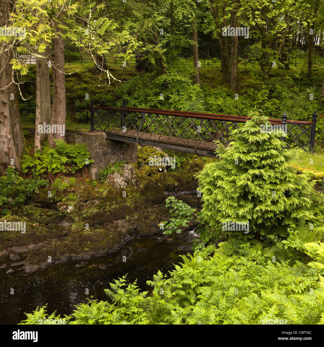 Old metal river footbridge amongst green conifer trees, Kilmarie, Isle ...