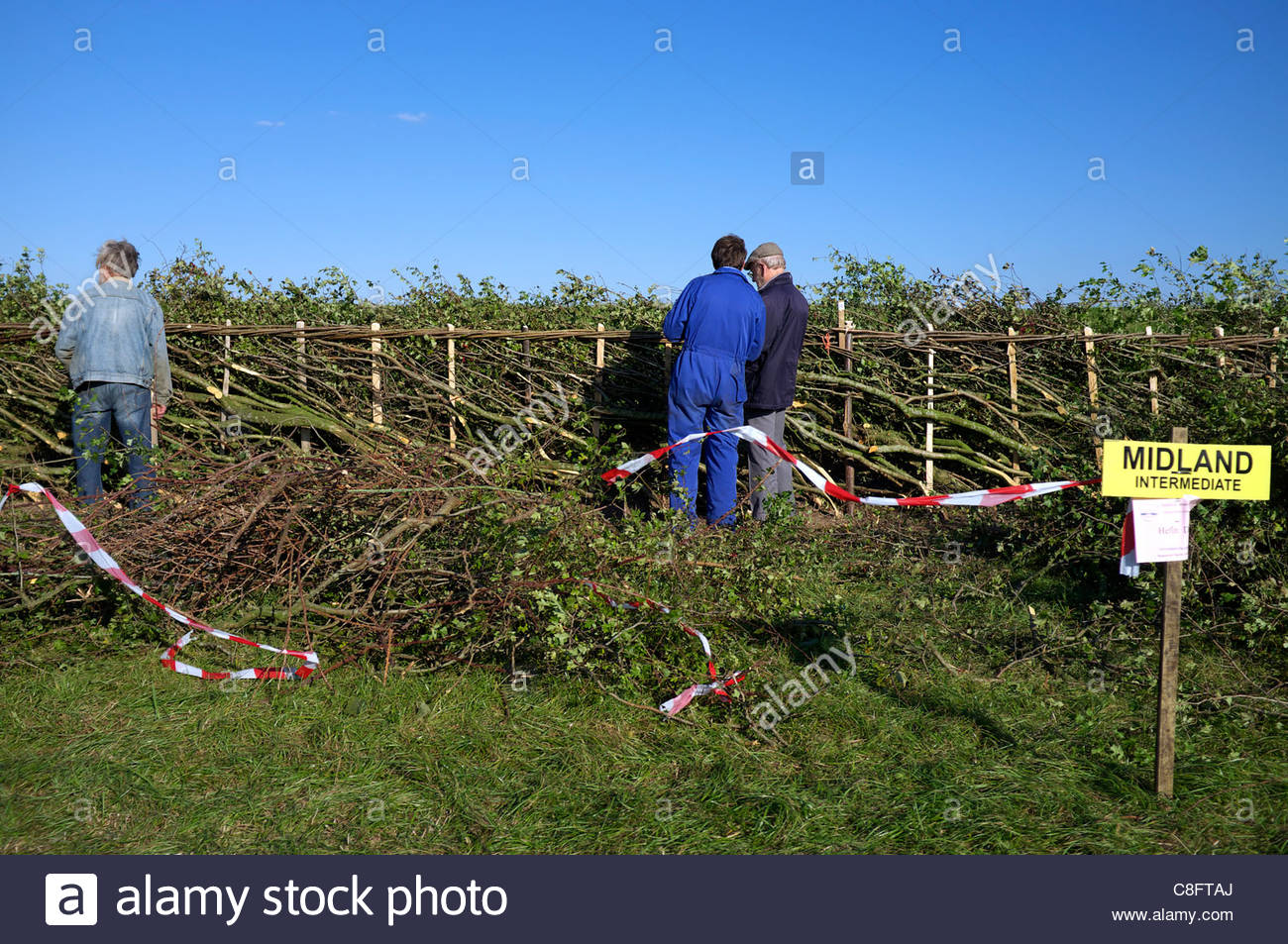 Hedge Laying Britain High Resolution Stock Photography and Images - Alamy