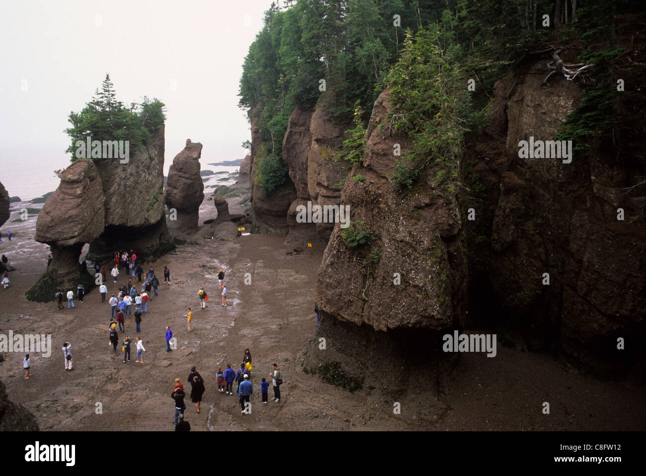 Hopewell Rocks, New Brunswick, Canada Stock Photo - Alamy
