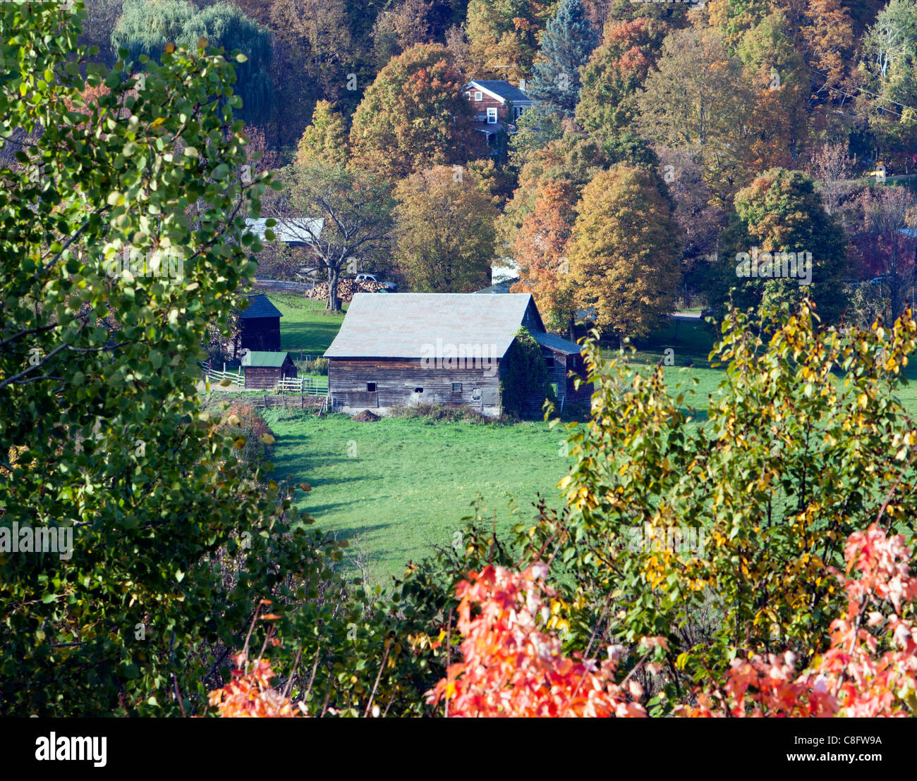 New york farm hi-res stock photography and images - Alamy