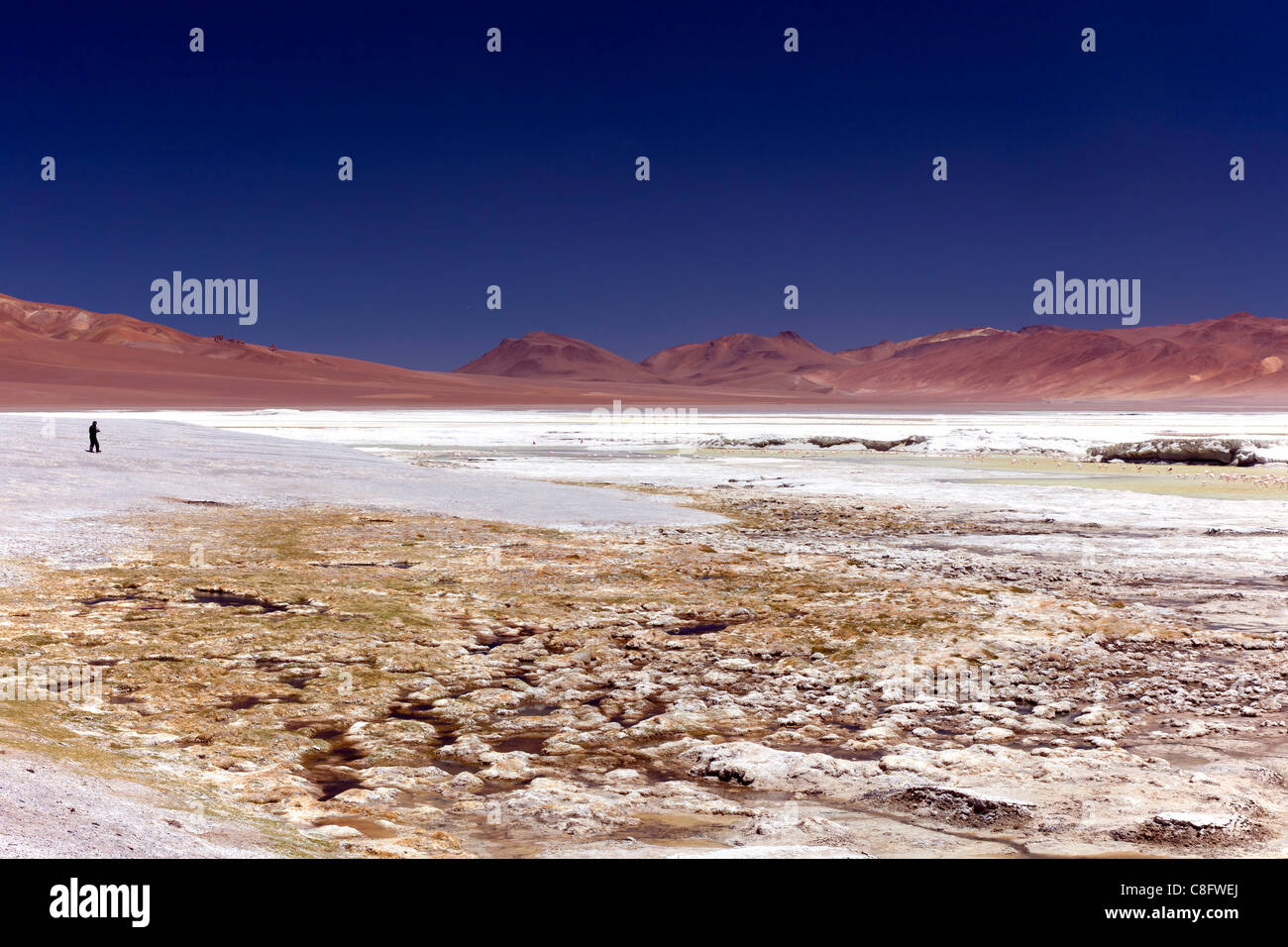 Edge of desert hi-res stock photography and images - Alamy