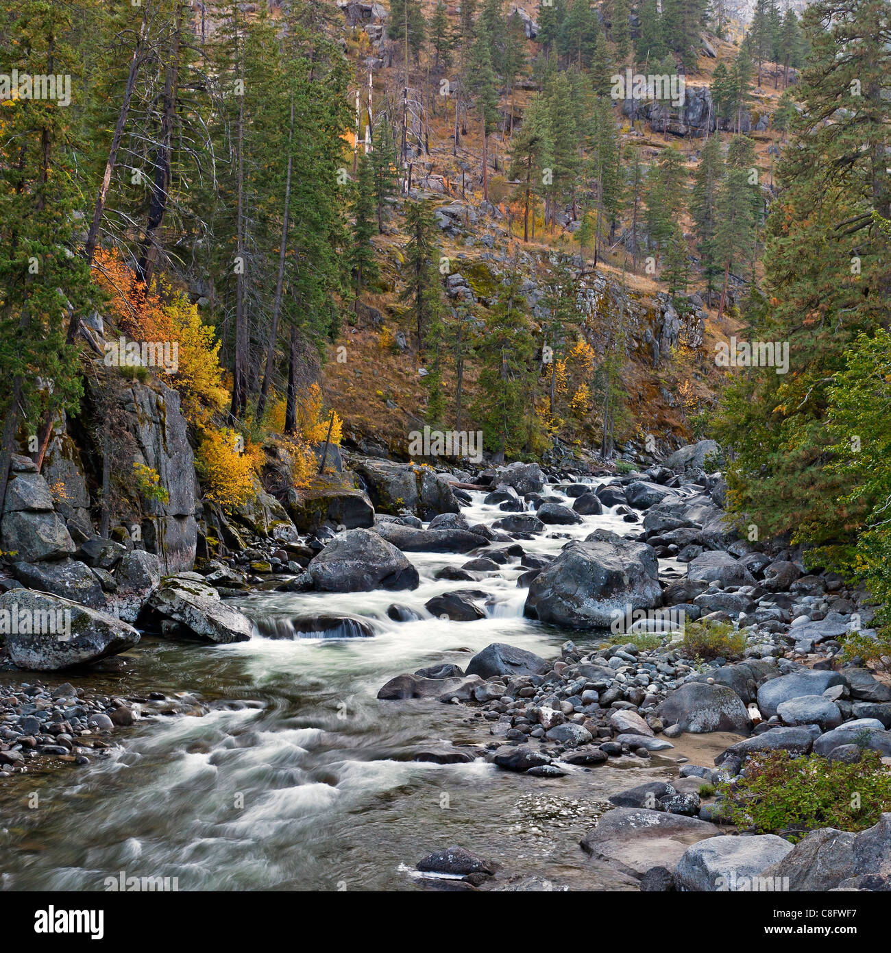 Snag rocks hi-res stock photography and images - Alamy
